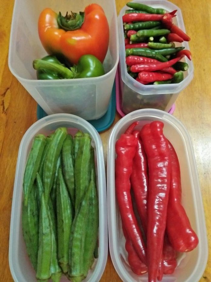 Sayur Jadi Layu dan Lembik? Ini Cara Simpan Sayur Dalam Peti Sejuk ...